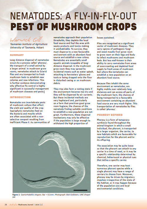 Nematodes: A fly-in-fly-out pest of mushrooms crops — MushroomLink