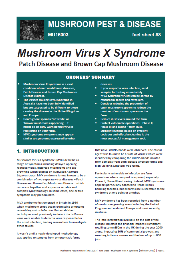 Mushroom Virus X Syndrome - Patch Disease and Brown Cap Mushroom ...
