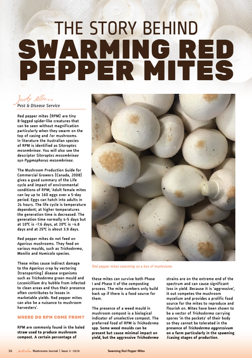 The story behind swarming red pepper mites — MushroomLink