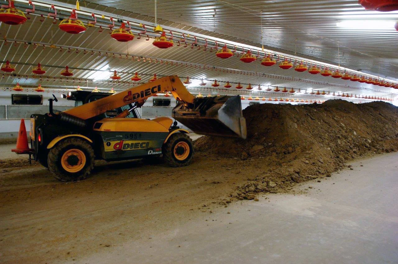 Poultry litter – more than just a nitrogen source — MushroomLink