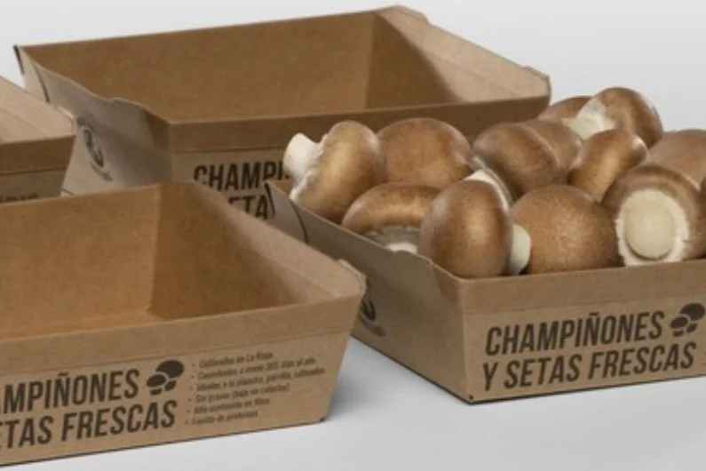 The future of mushroom packaging — MushroomLink