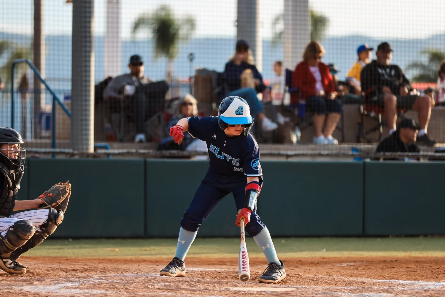 Arizona Elite Baseball Academy