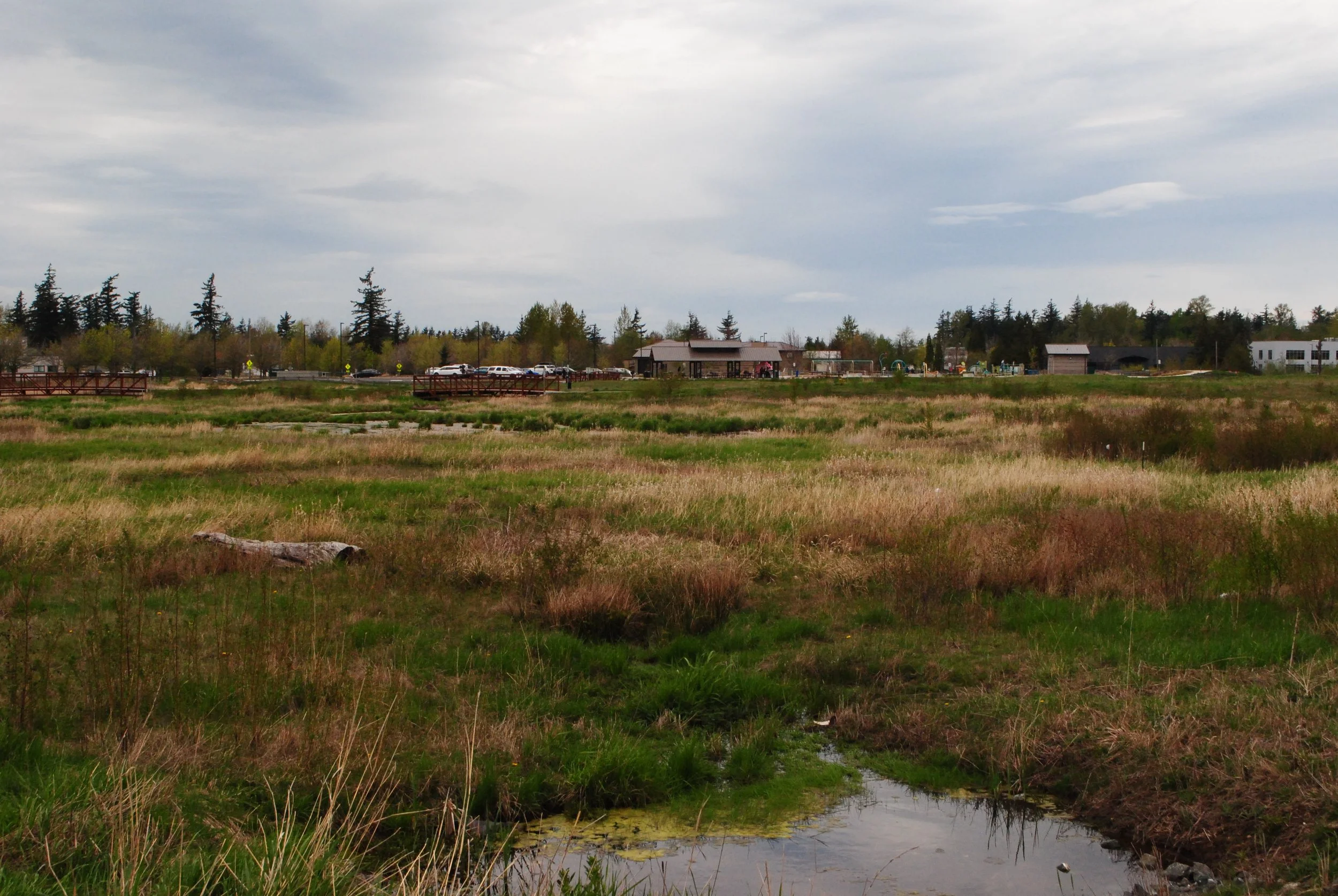 Creating Cordata Park — The Planet Magazine