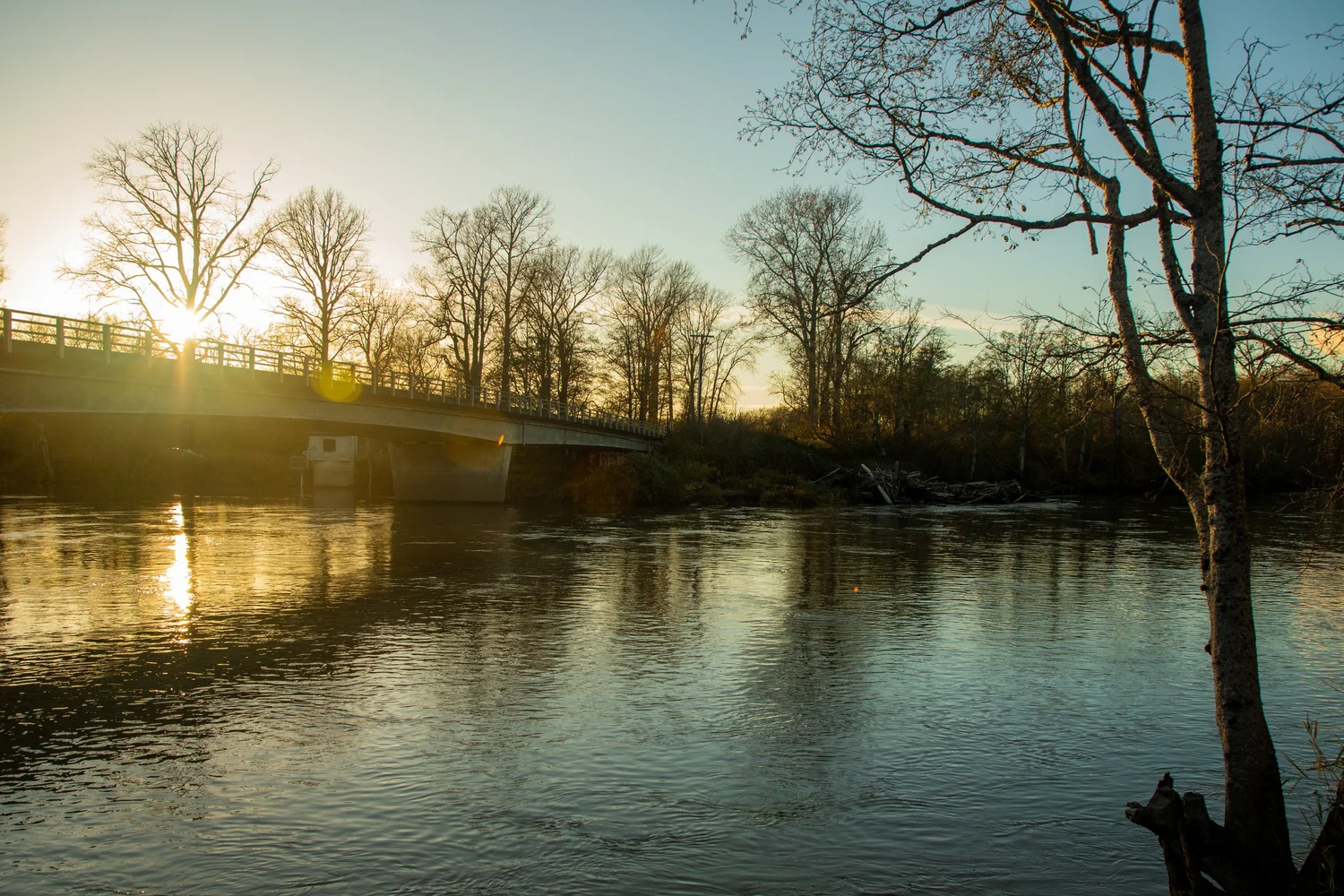 Portage Pollution Creates Unsavory Shellfish — The Planet Magazine