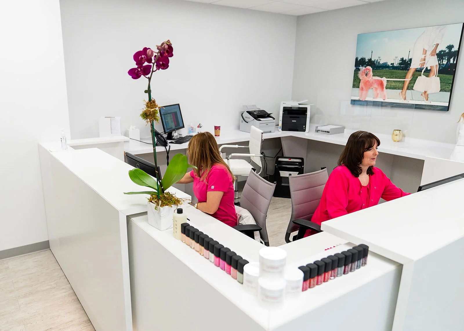 Practice Overview — Dr. Elisa Kavanagh + Associates