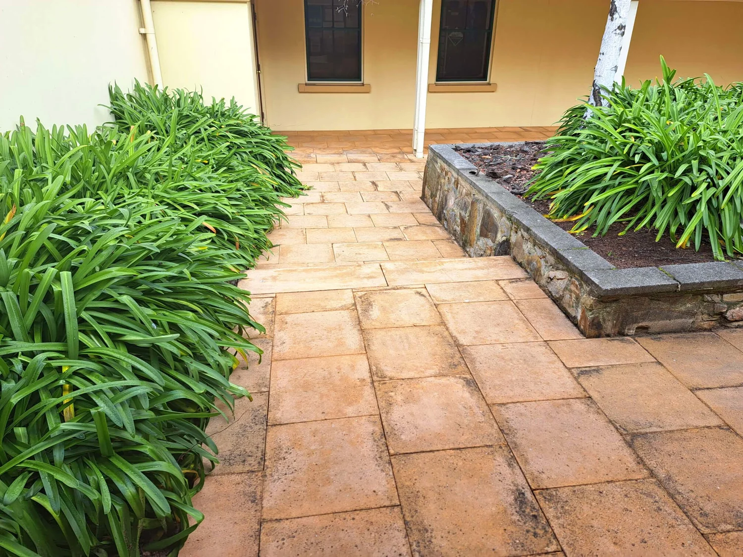 Duntroon House Conservation Clean - Let's Clean, Sydney Heritage ...