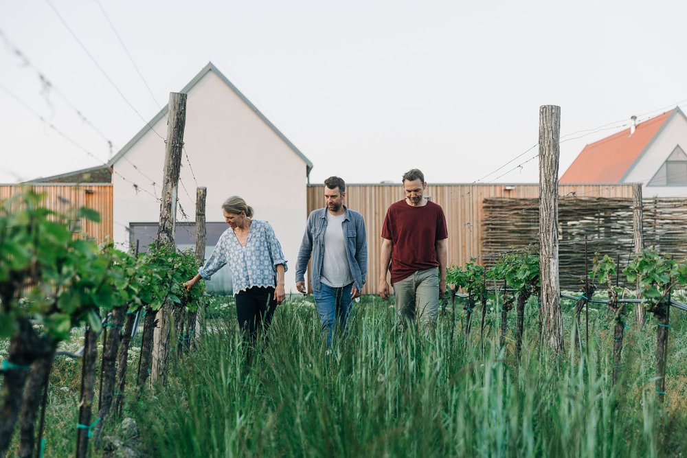 Meinklang — Sager and Wine | Importer & Distributor