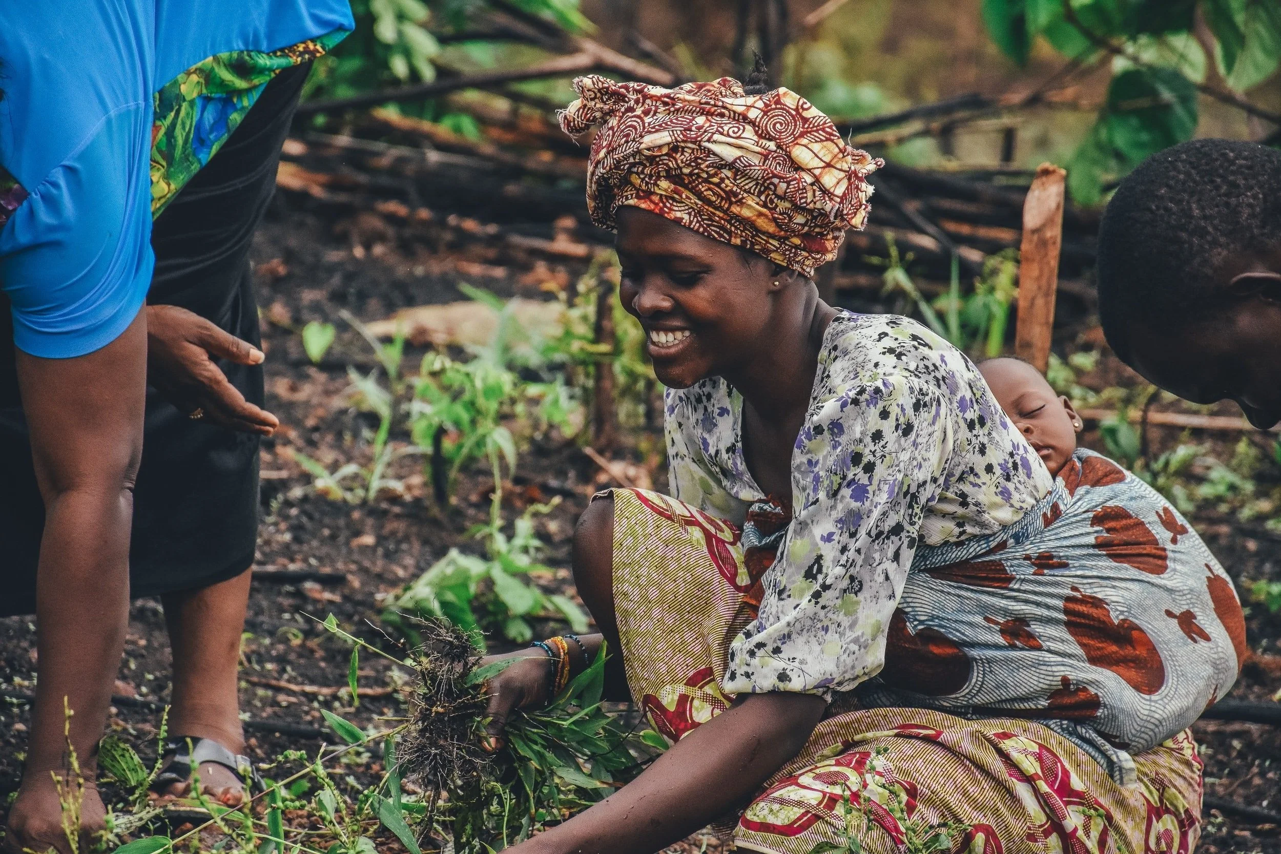 International Development Innovation Alliance