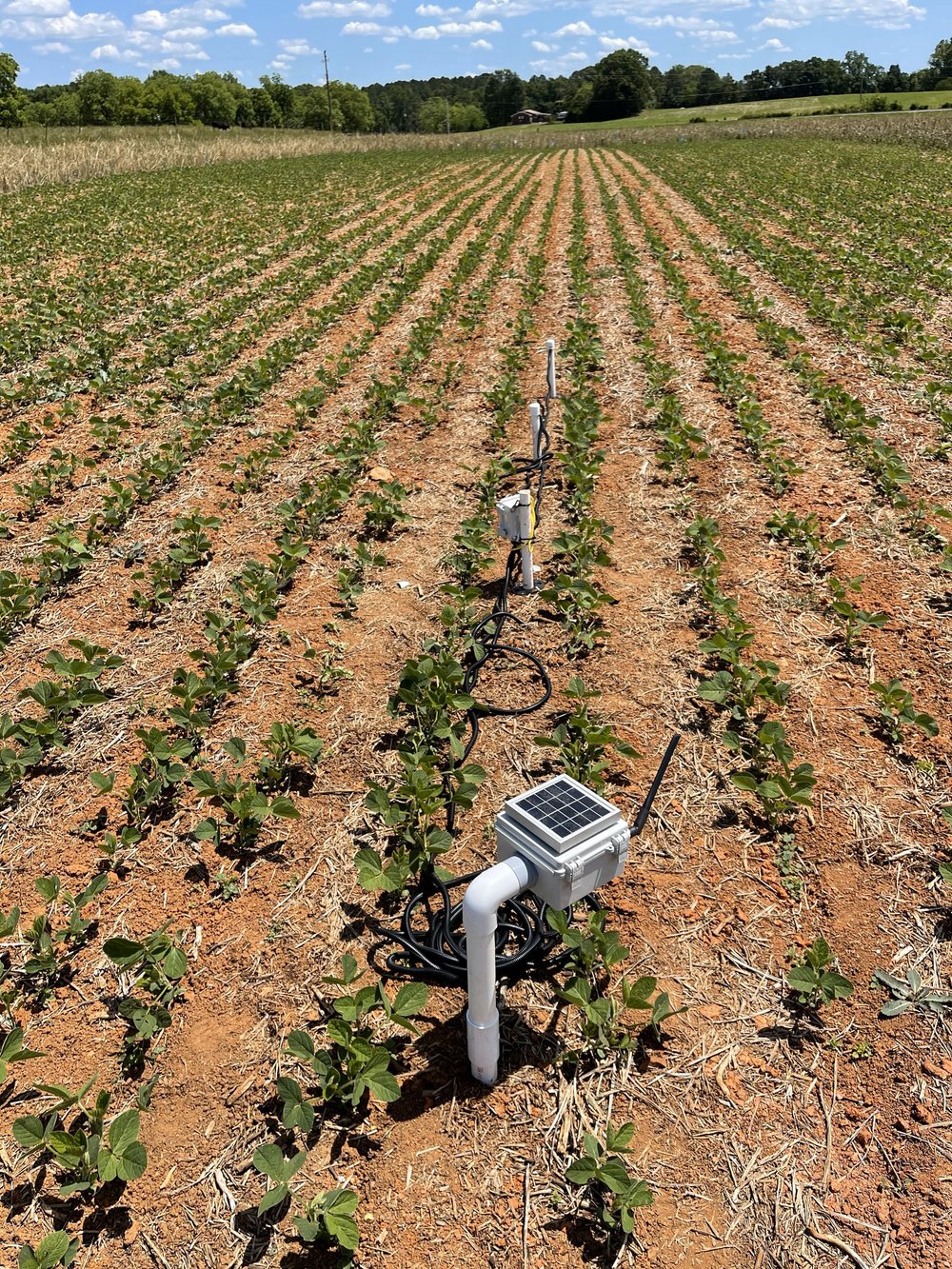 Plant and Soil Sensing — Precision Sustainable Agriculture