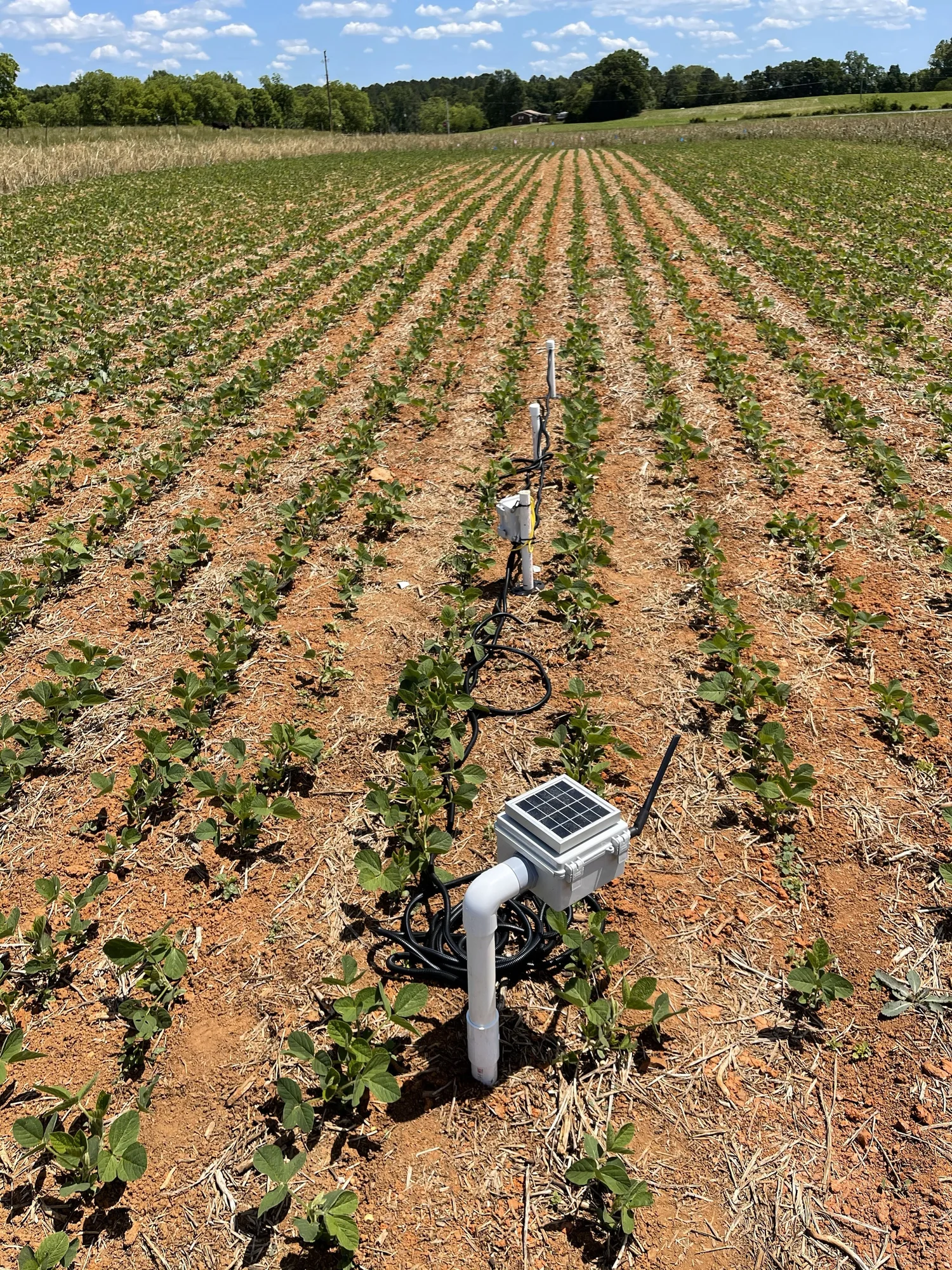 Plant and Soil Sensing — Precision Sustainable Agriculture