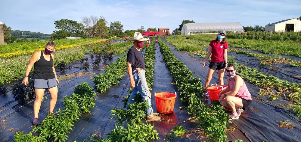 Get Involved with Fauquier Education Farm — Fauquier Education Farm