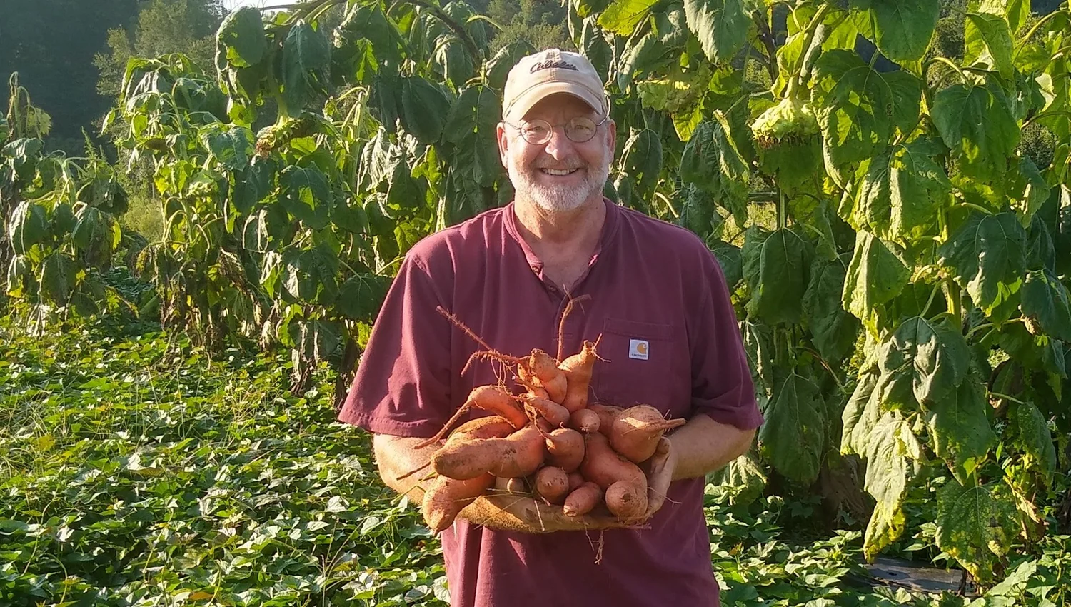 About the Fauquier Education Farm — Fauquier Education Farm