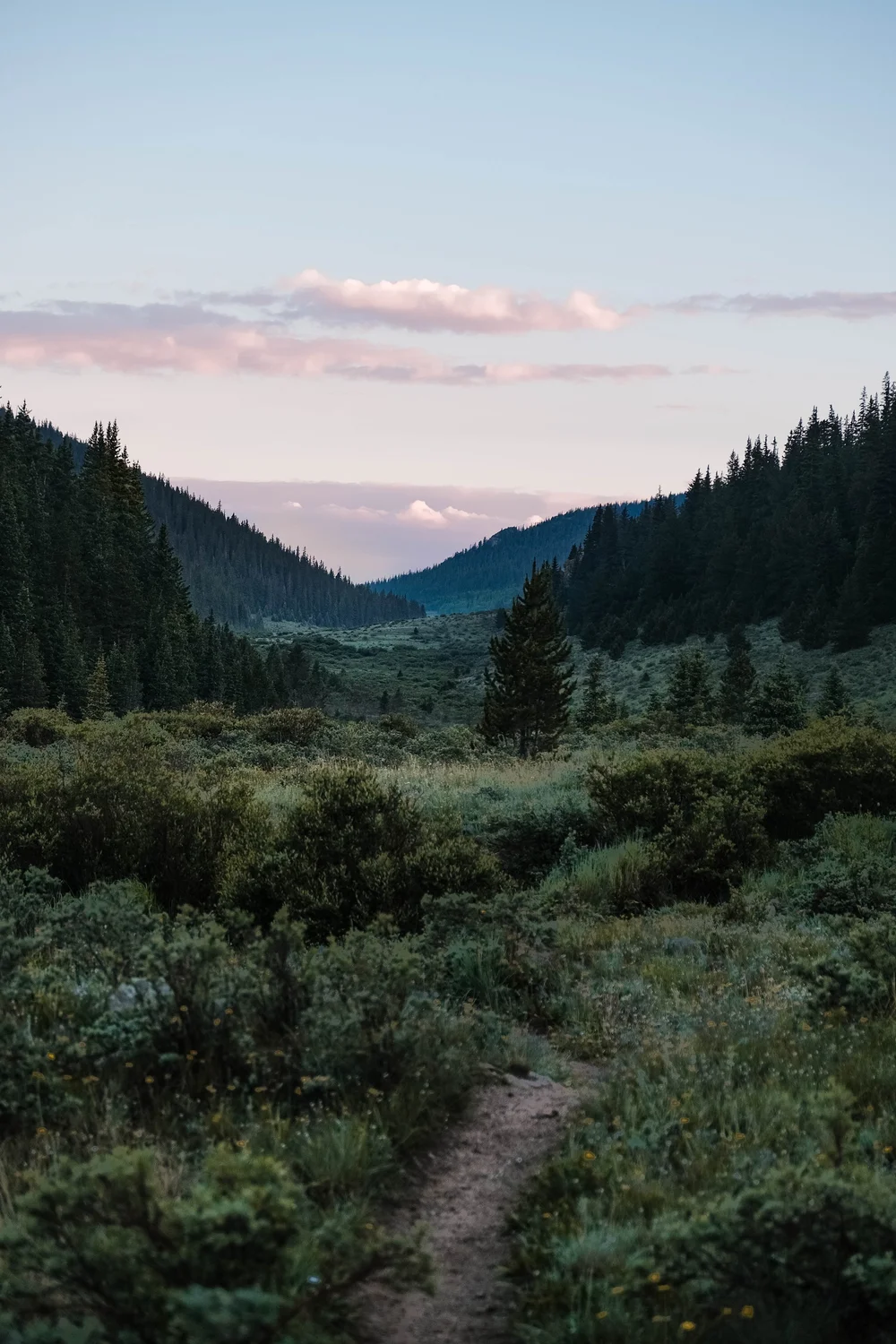About Bivwak | Done For You Colorado Camping — Bivwak