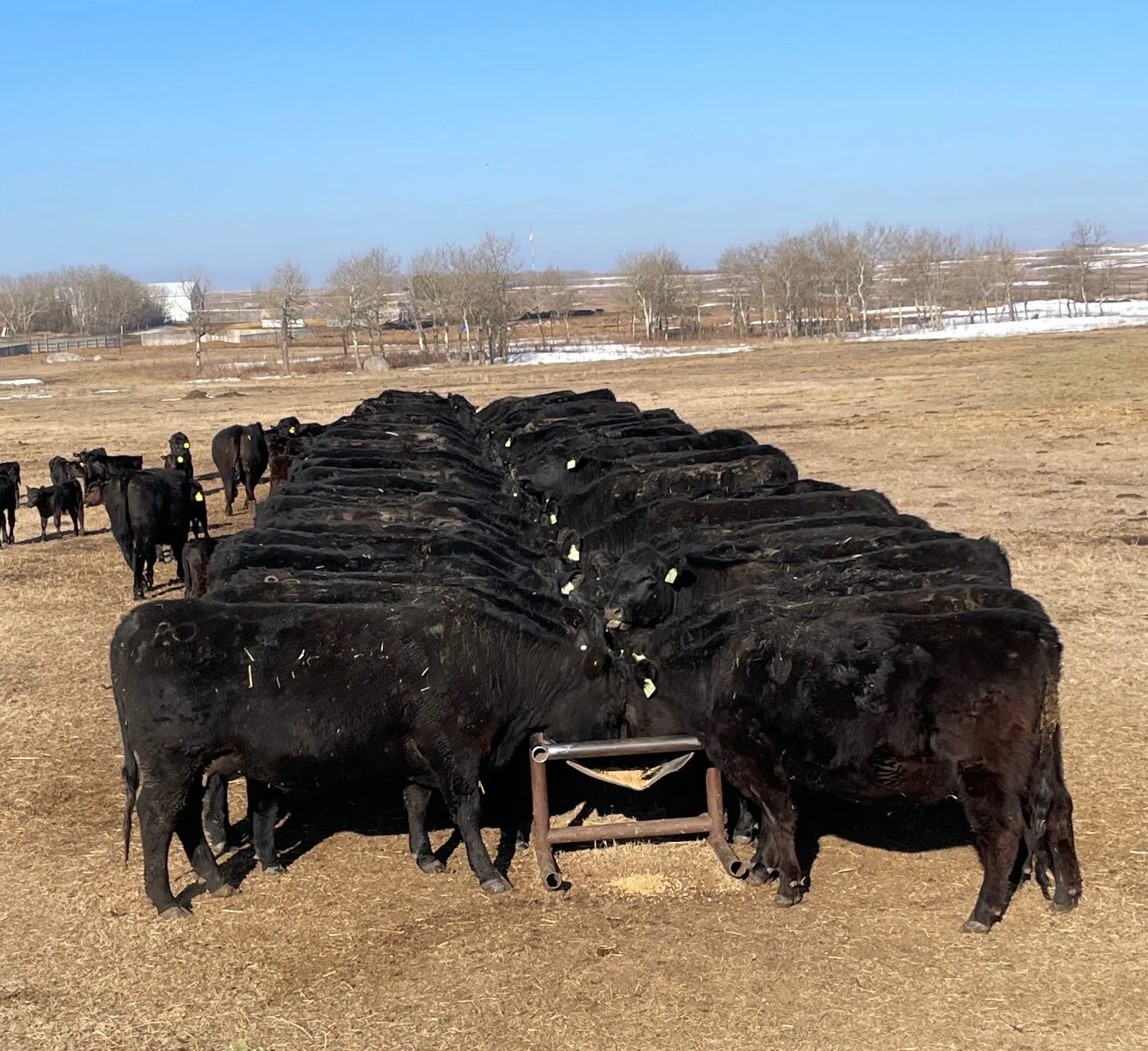 Services 4 — SaskAgMatters