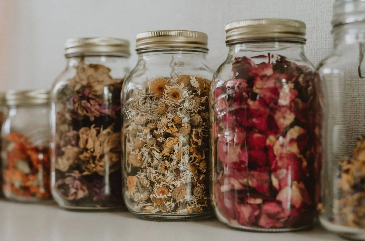 Drying and Preserving Dye Flowers — Tara Macdonald