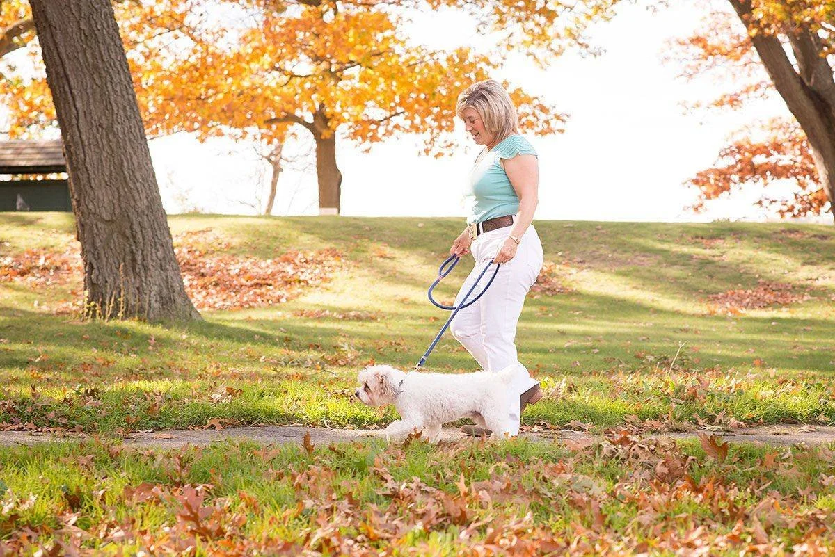 No Dog Too Small...Dog Walking and Pet Sitting LLC