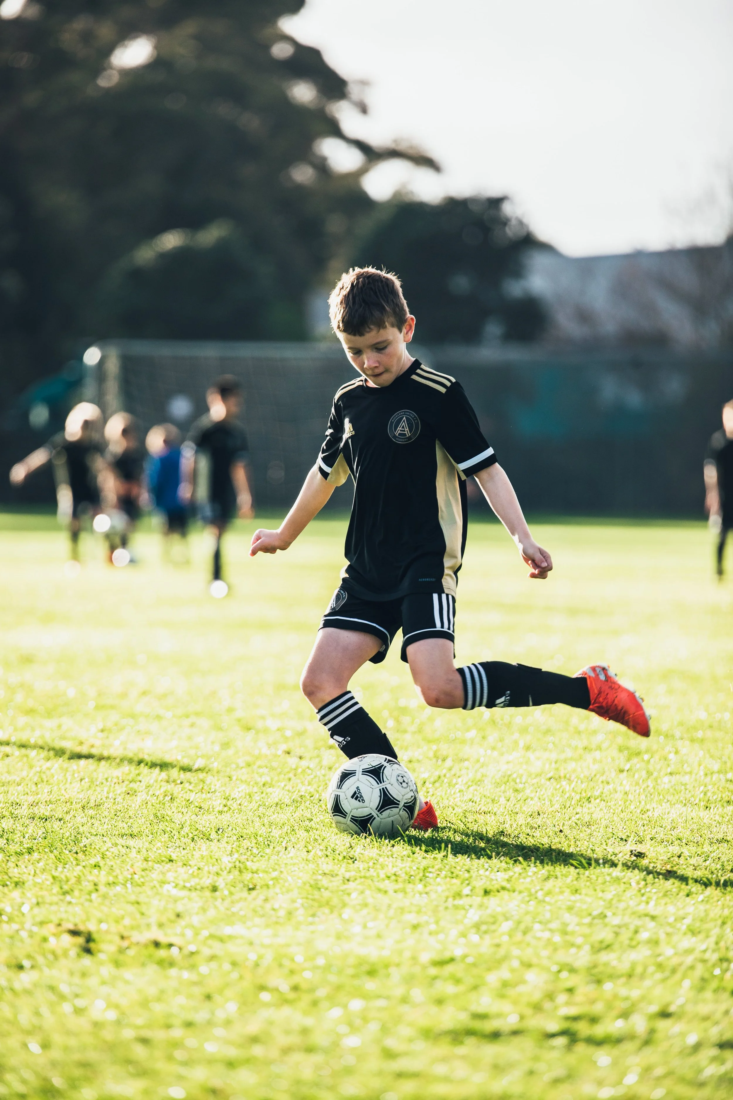 Auckland United Football Club Academy — Auckland United F.C.