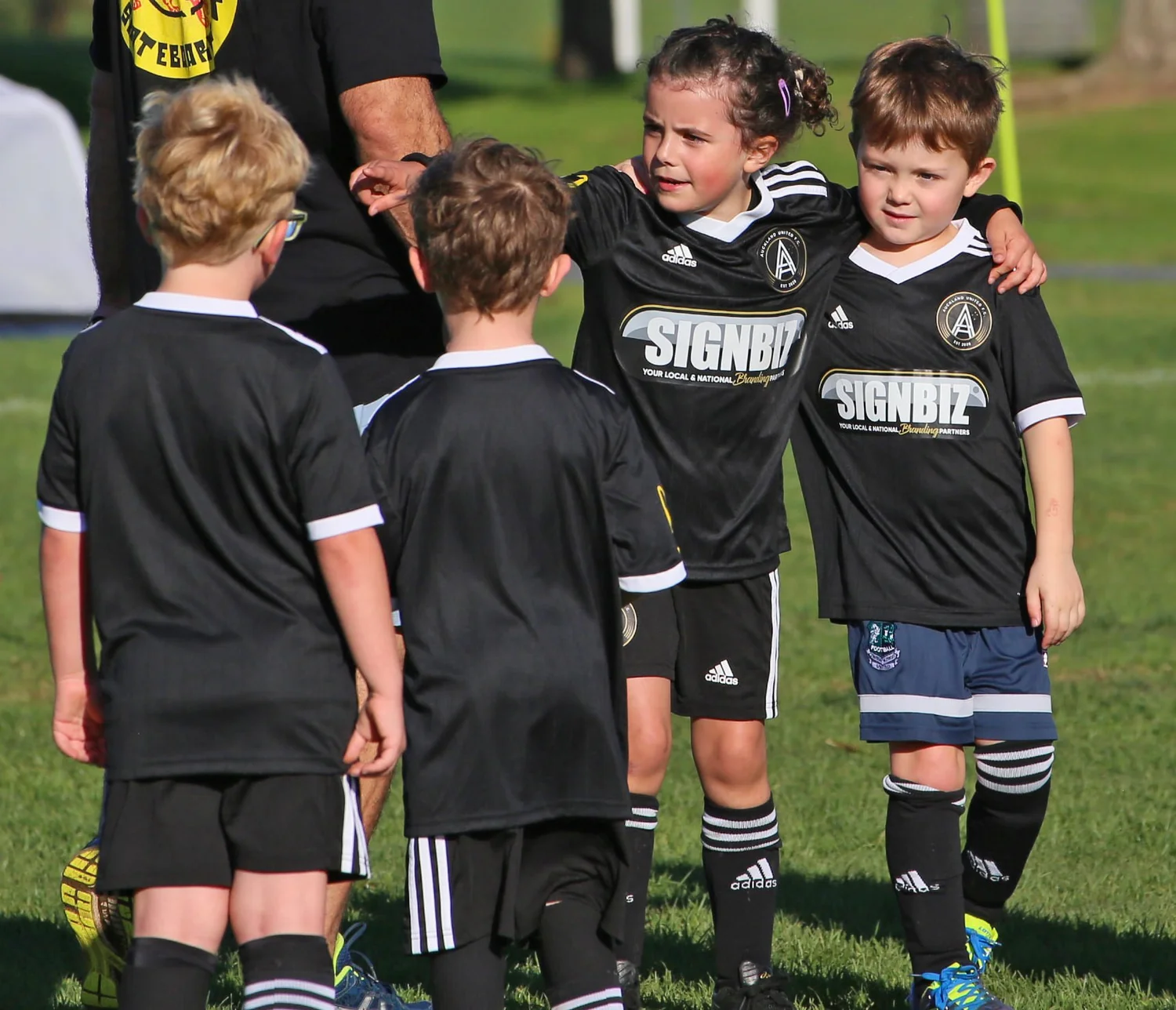 Player Registrations — Auckland United F.C.