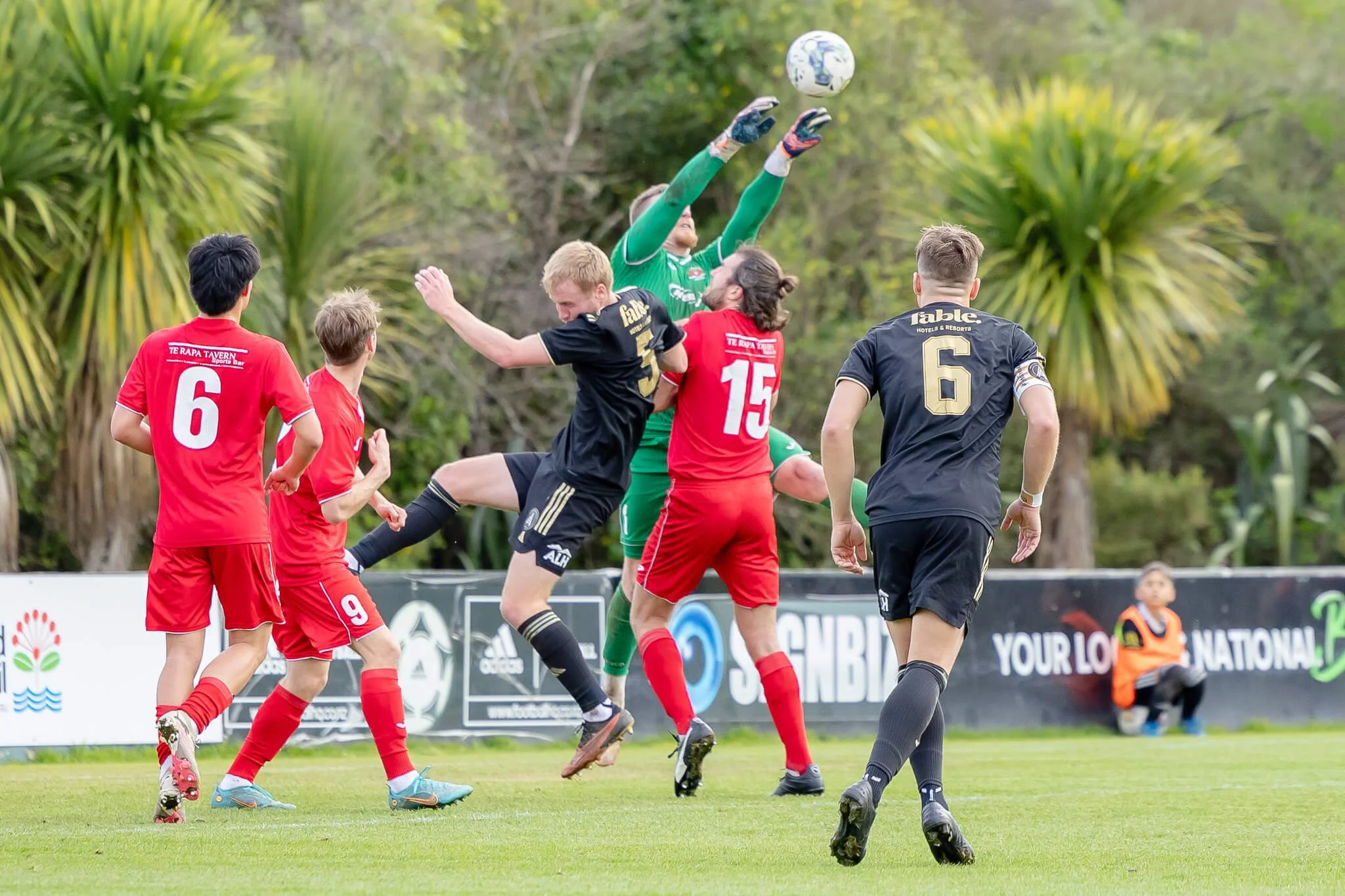 Auckland United Football Club News | AUFC News — Auckland United F.C.