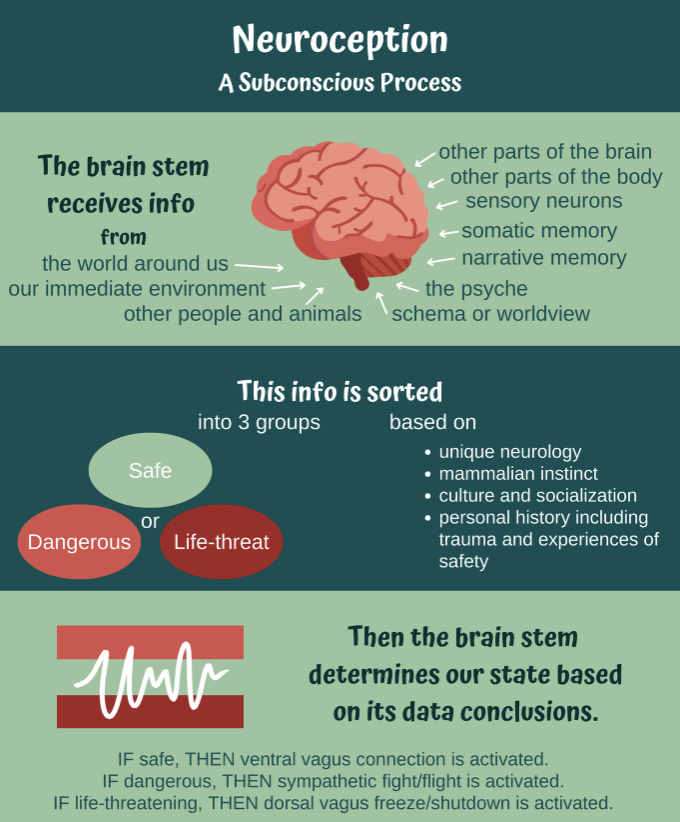 What Are Neuroception and Interoception? Understanding the Mind-Body Connection in Trauma ...