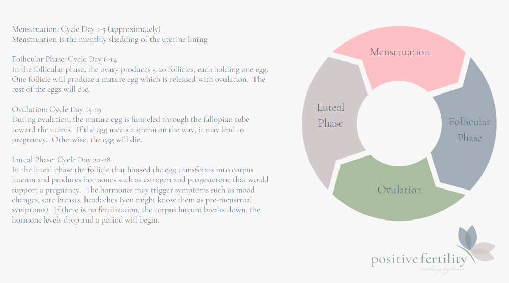 How to chart your menstrual cycle - Positive Fertility Coaching by Laura