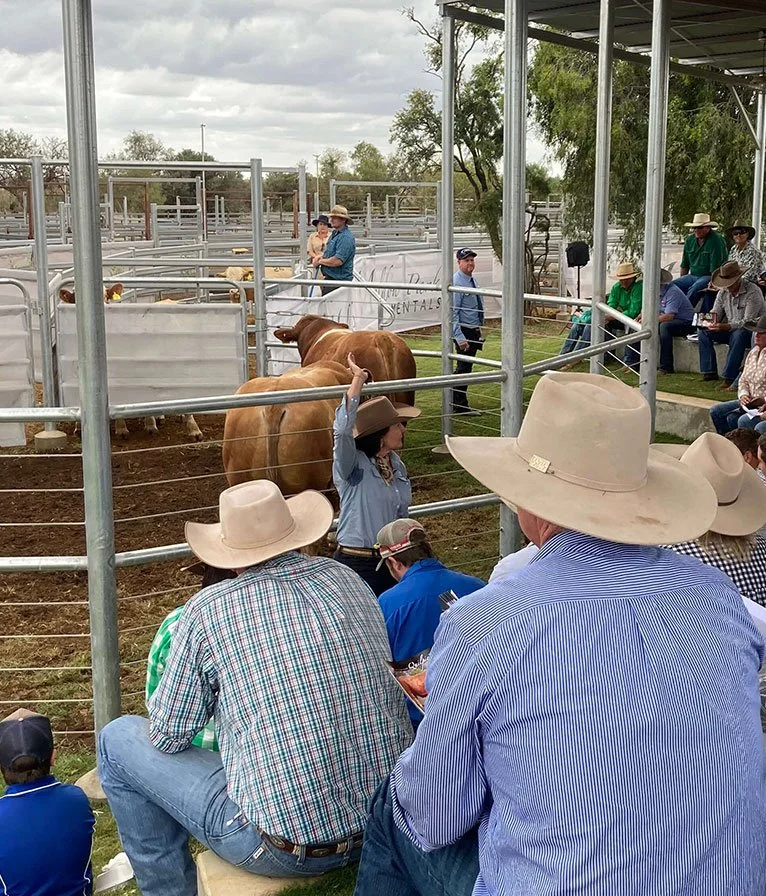 Livestock & Grain — Rolleston Livestock and Grain