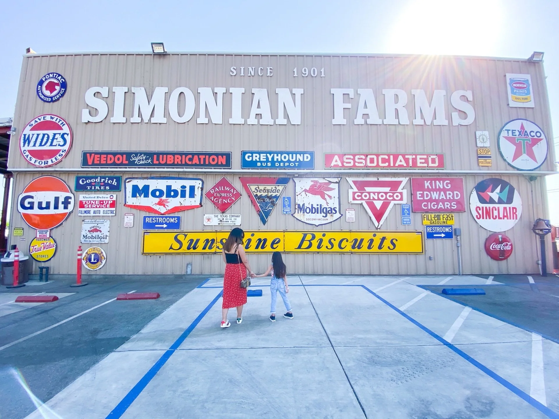 Simonian Farms — Abbitude