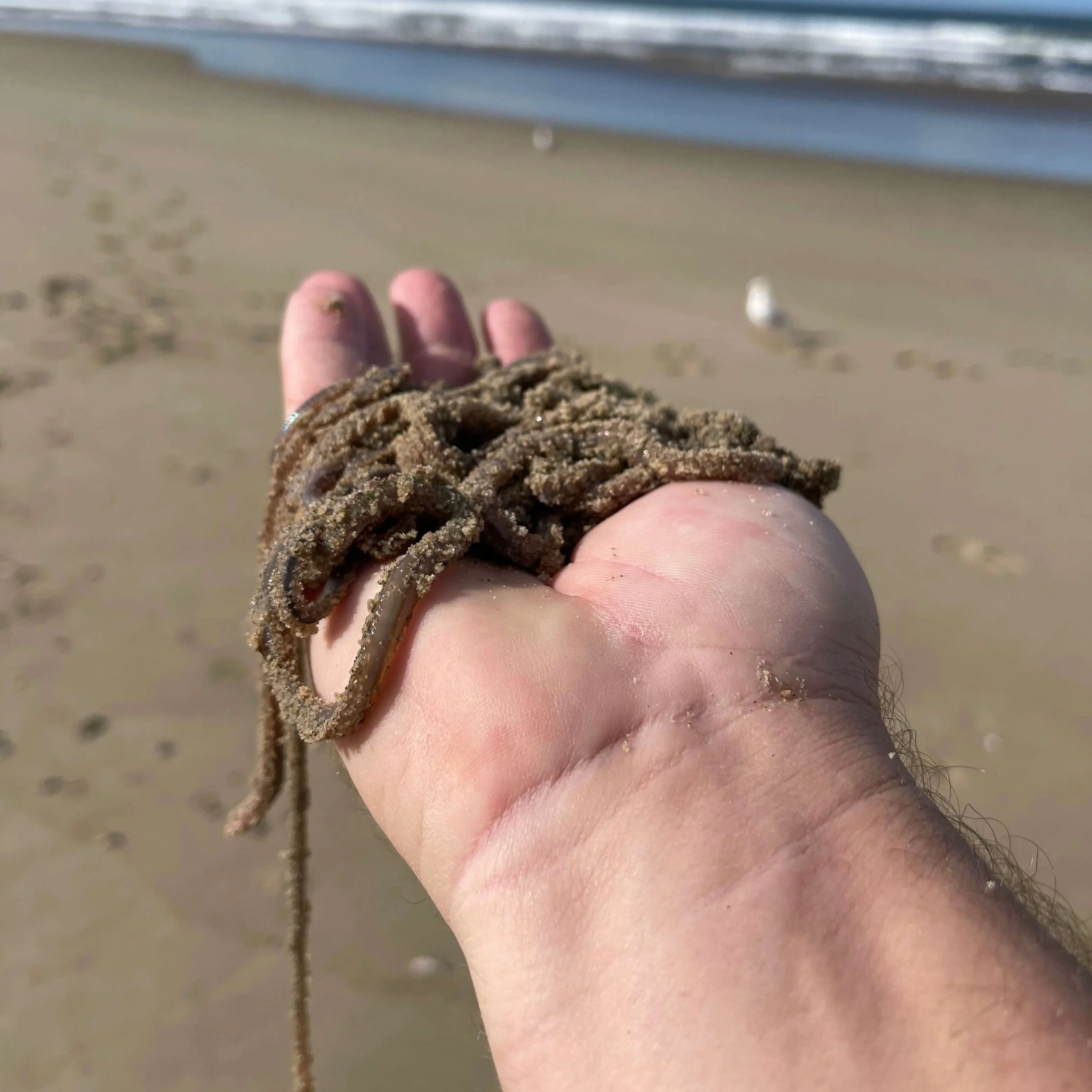 Experiences — Fishing With A Local