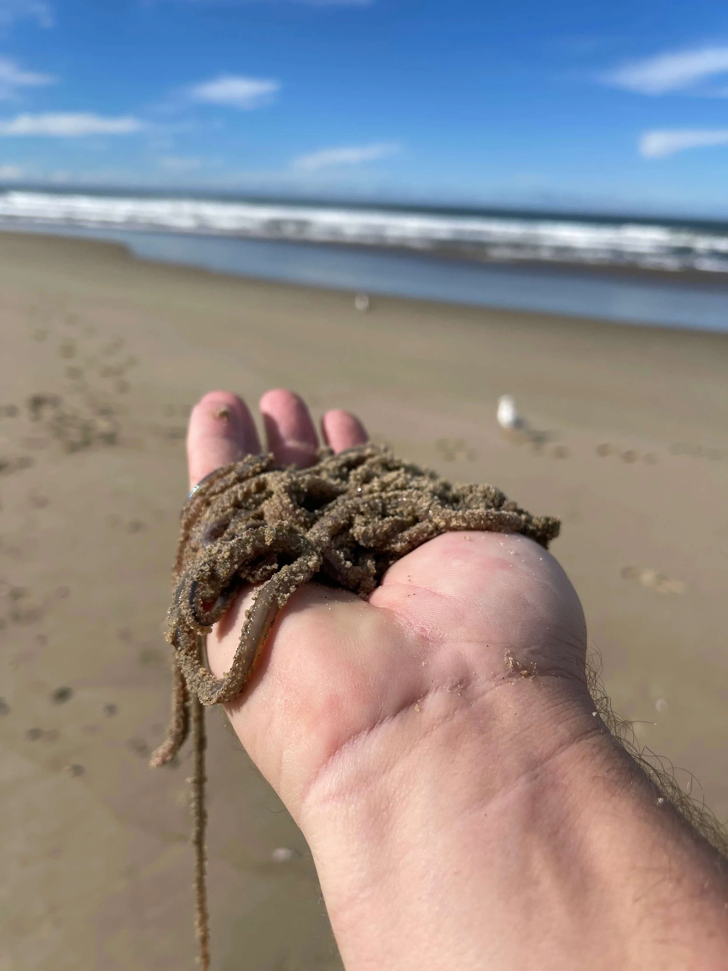 Fishing With A Local