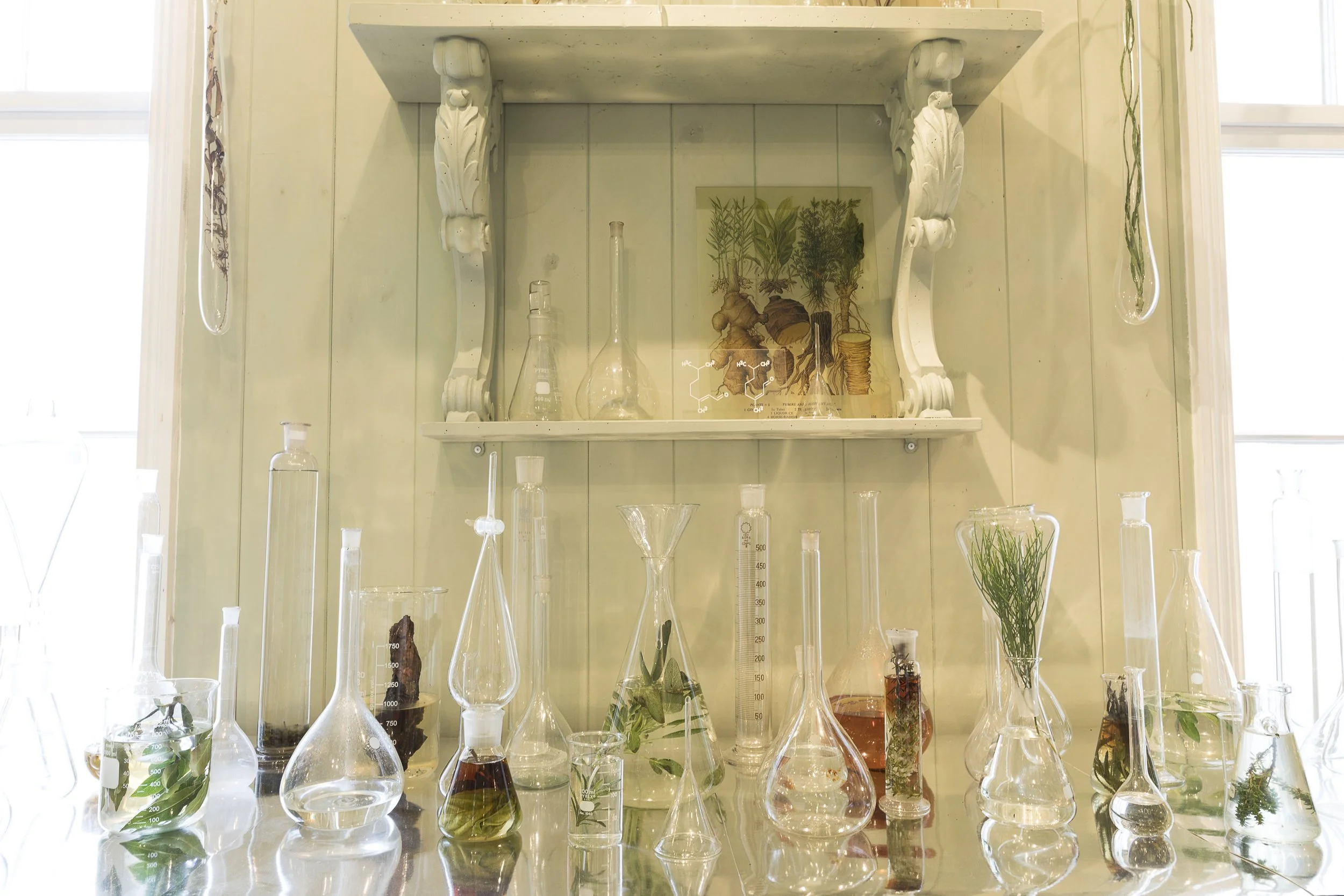 General 2 — Janet Laurence