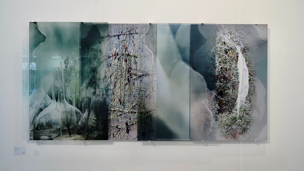 Gallery Works — Janet Laurence
