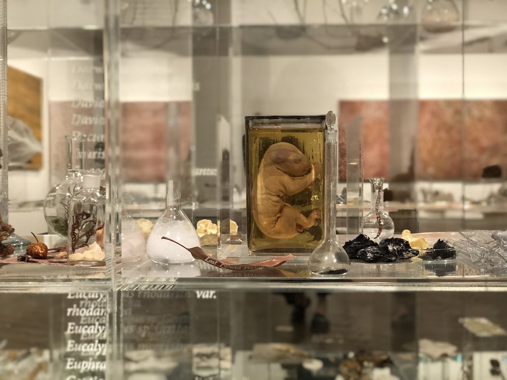 General 2 — Janet Laurence