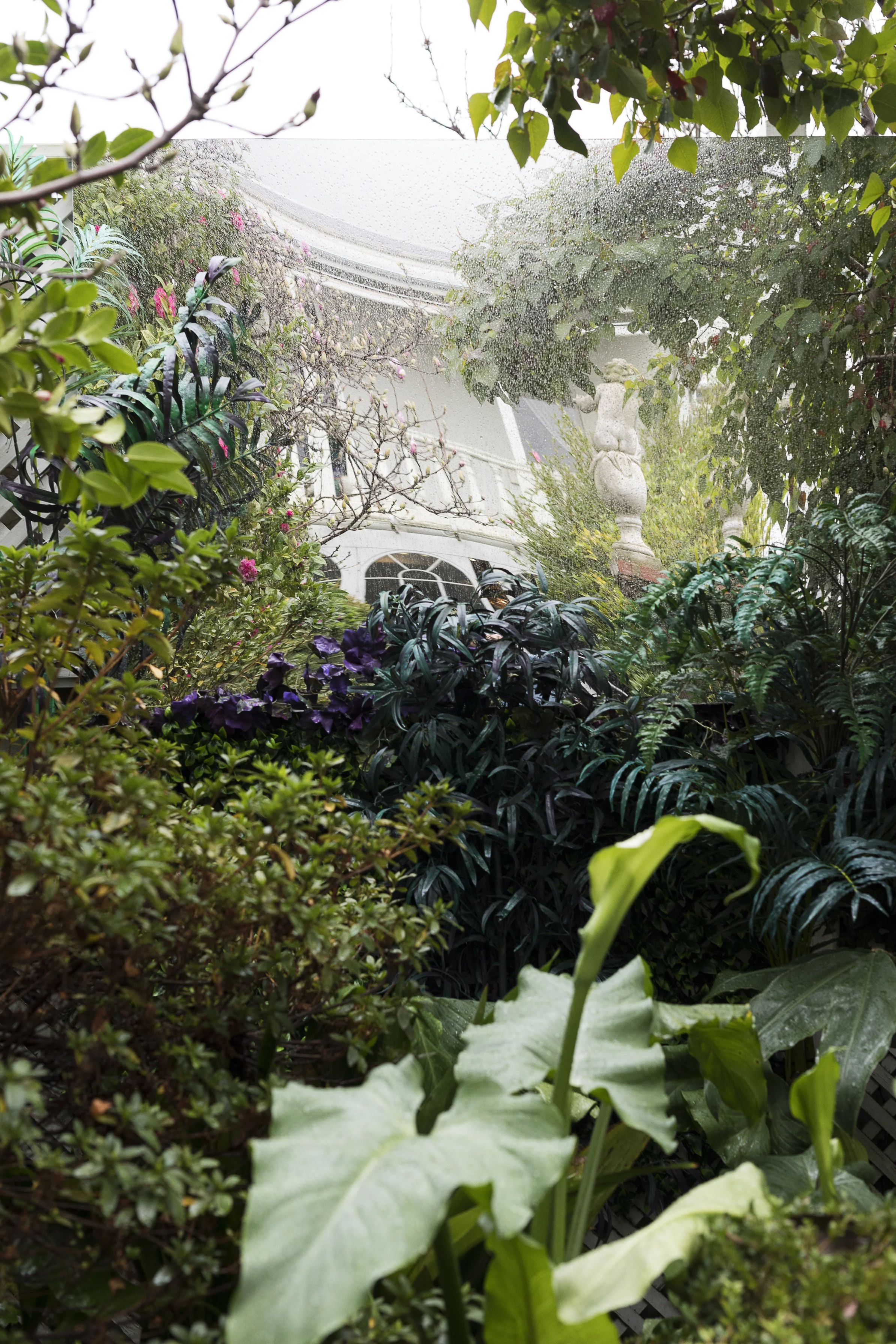 General 2 — Janet Laurence