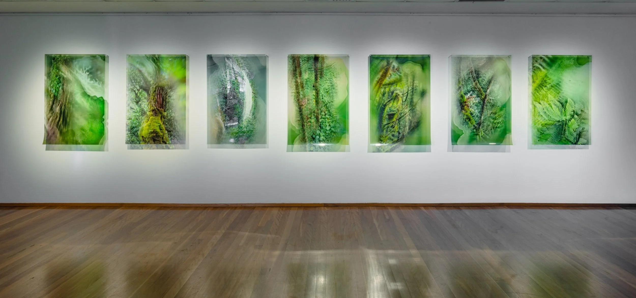 Gallery Works — Janet Laurence