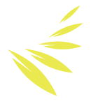 KOON Hospital - "คูน" ทางเลือกการรักษาประคับประคอง(Palliative Care)ที่ ...