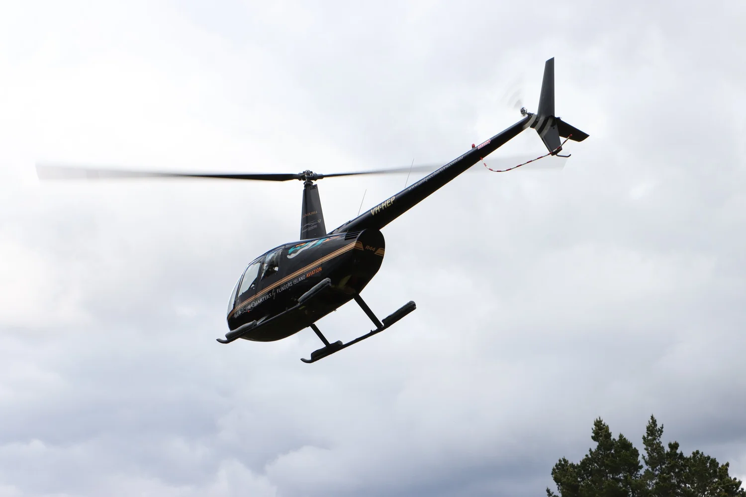 Unique Charters | Fleet — Unique Charters