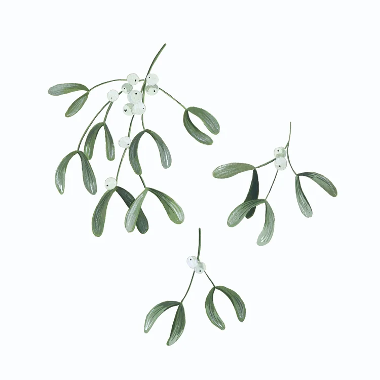 Mistletoe Pattern Design — Helen Wallace