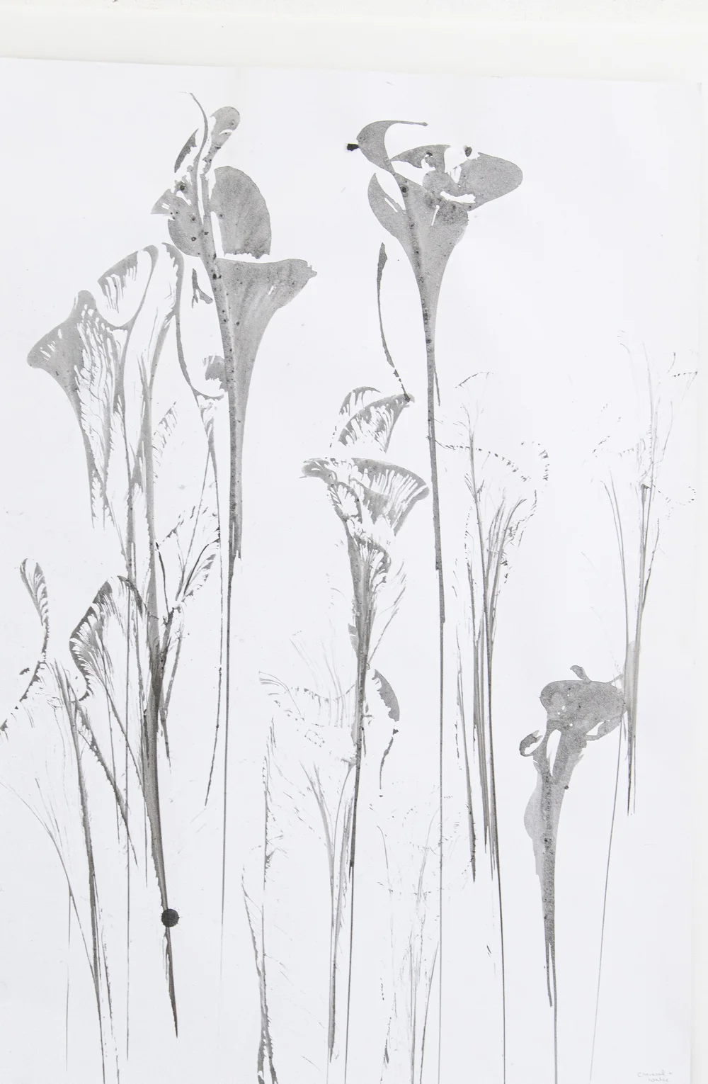 Drawing — Stellenbosch Academy