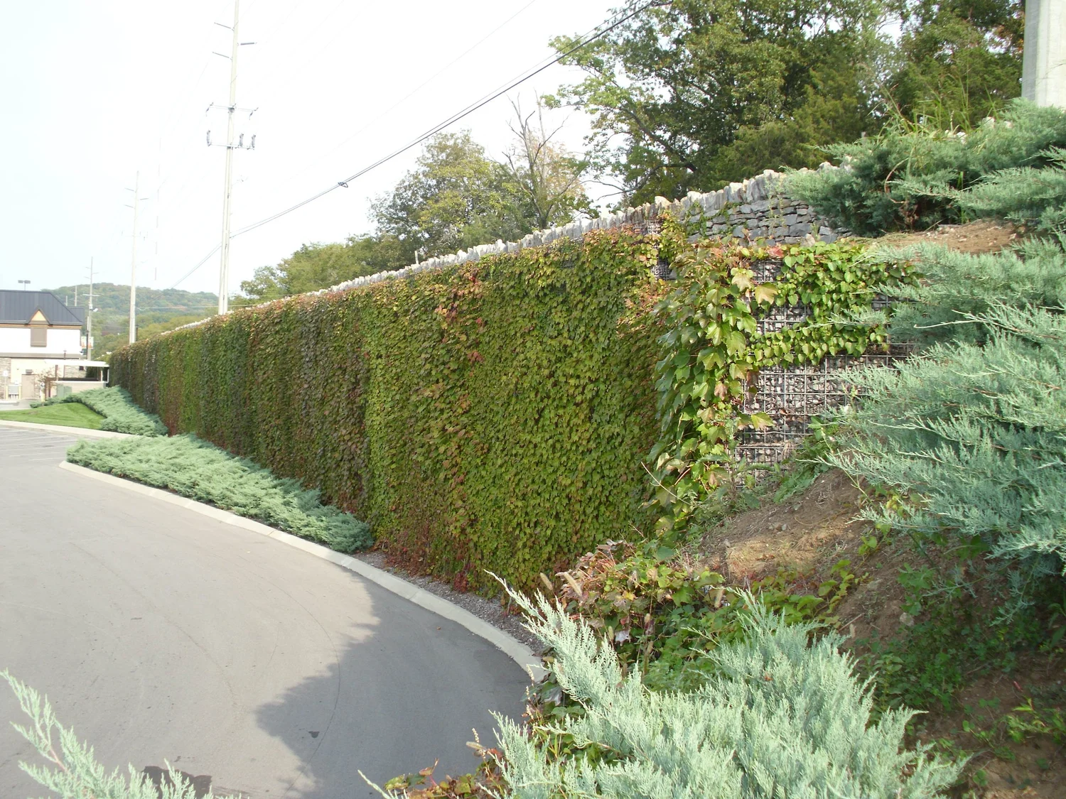Site Retaining Walls — Pinnacle Design/Build Group, Inc. - Retaining Walls