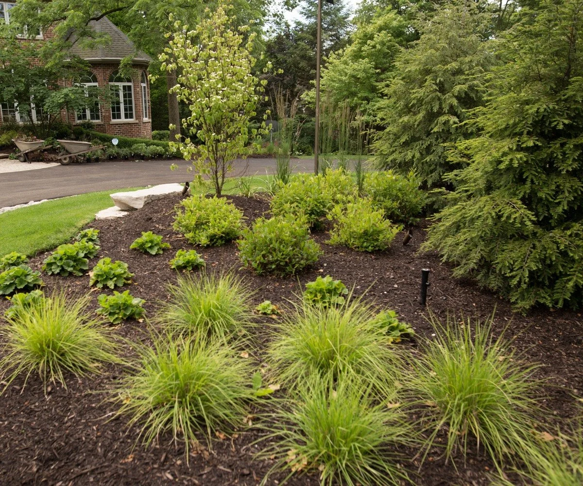 Trees & Shrubs | Landscape Design Batavia, Saint Charles IL | Montano's ...