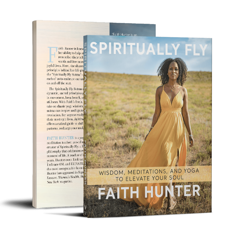 Spiritually Fly Book — Faith Hunter