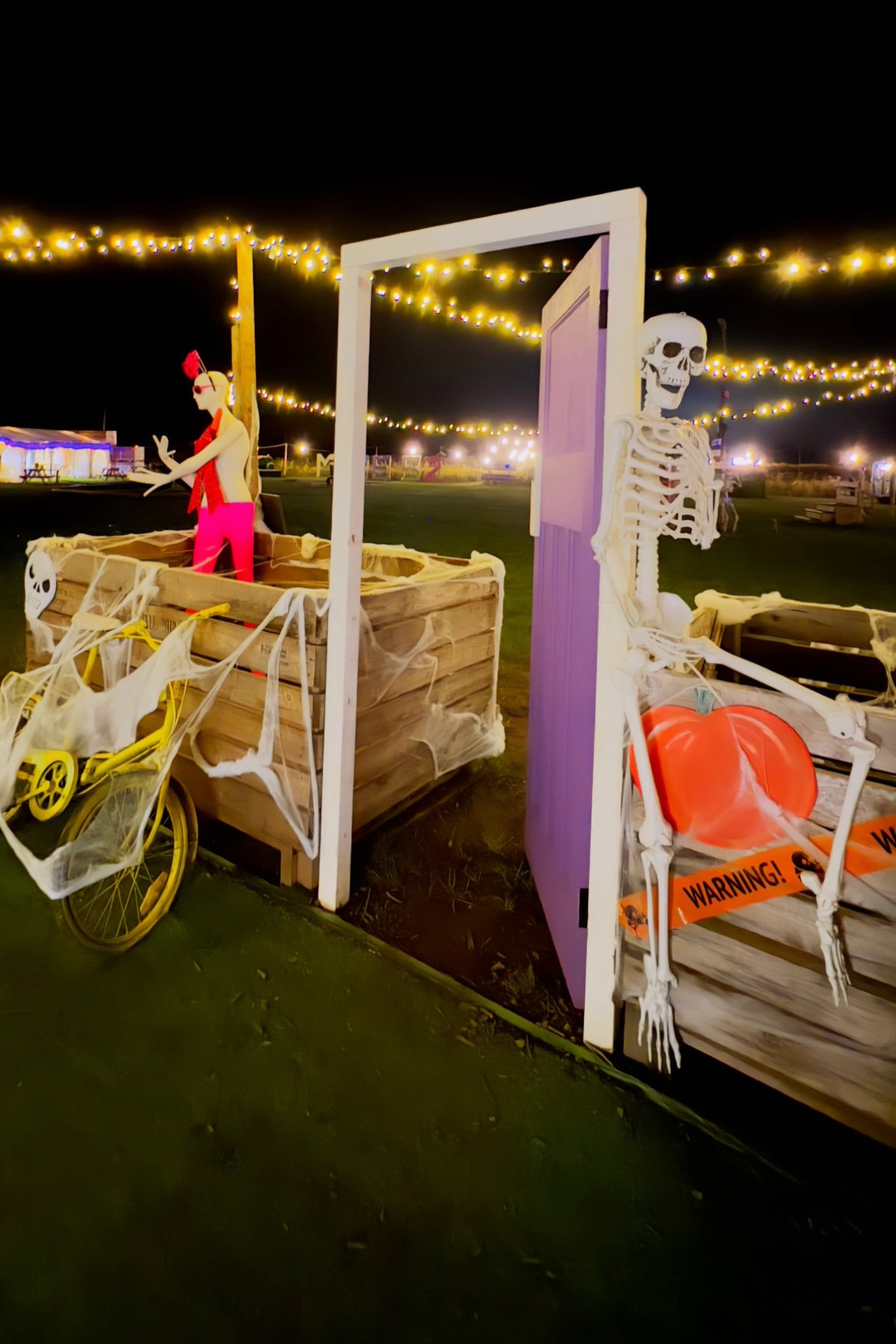 Fright Nights — Maze 52 — Derbyshire's Maize Maze