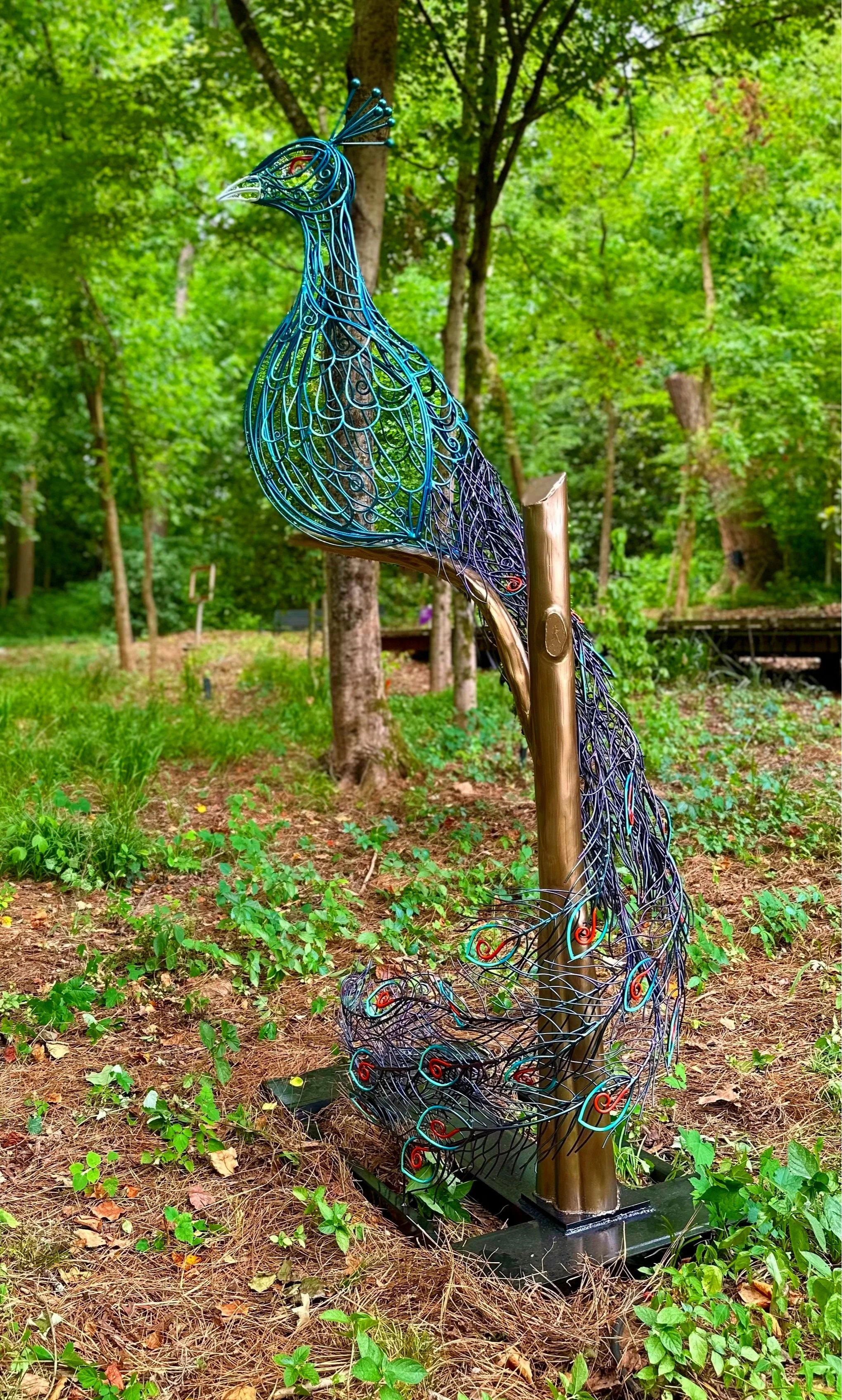 Forest Forms — Elemental Exhibitions