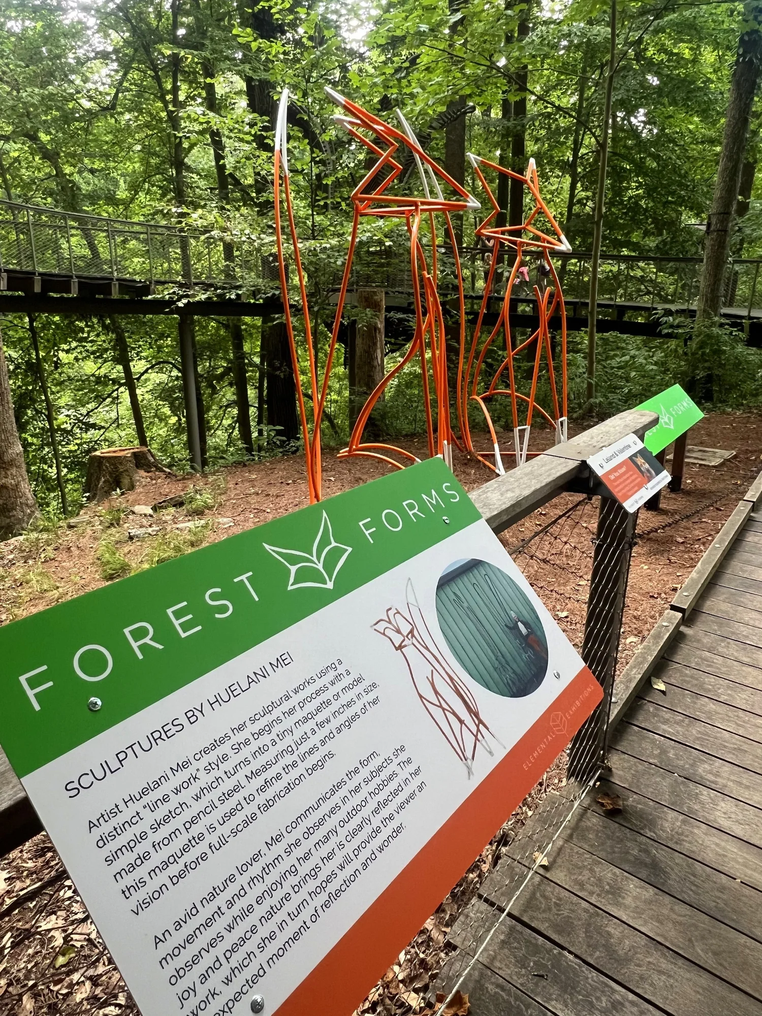 Forest Forms — Elemental Exhibitions