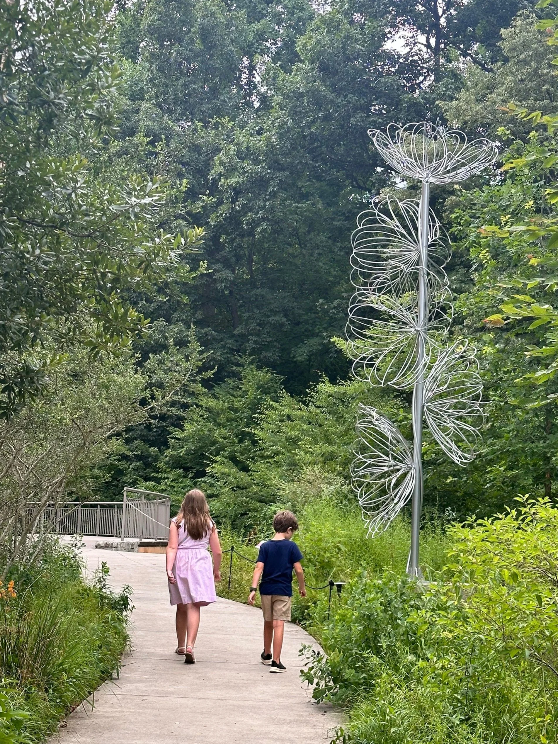 Forest Forms — Elemental Exhibitions