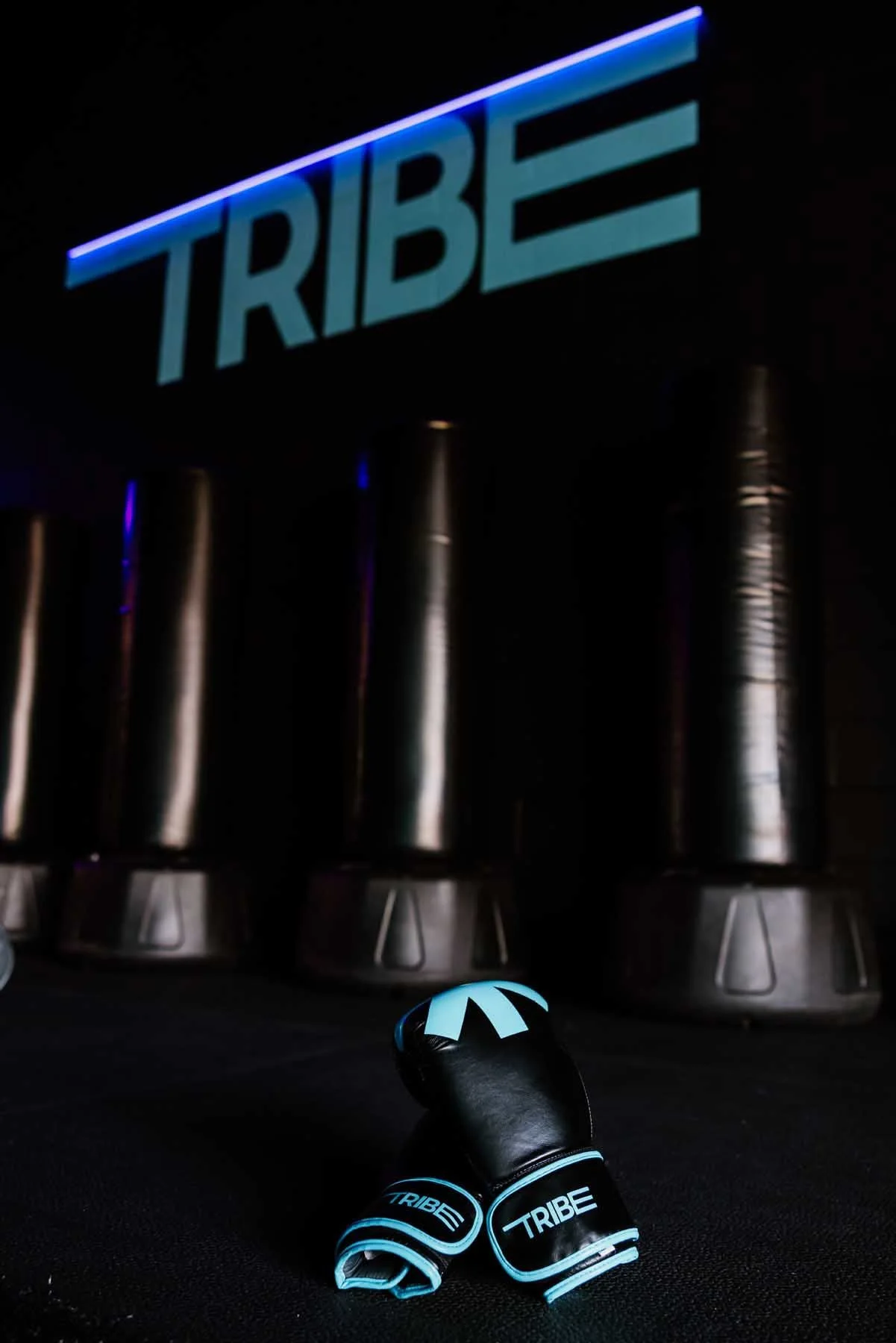 Personal Fitness Trainer Newmarket - Get Into The Best Shape Of Your Life, Through Boxing! Tribe ...