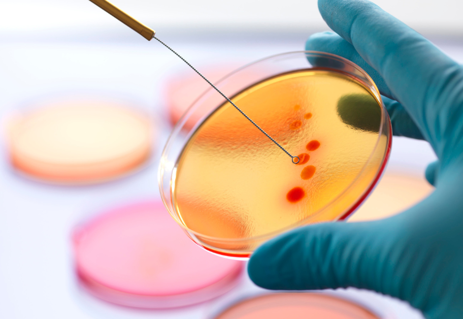 Blood-Borne Threats: Pathogen Detection in Blood Samples — Kraken Sense