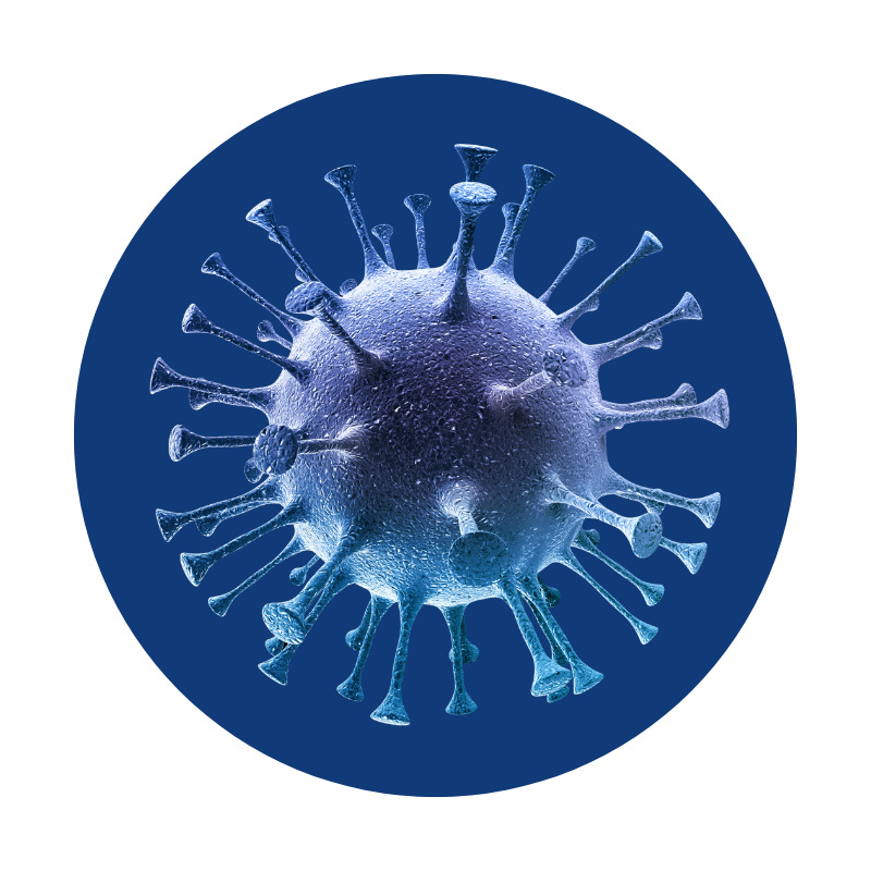 Kraken Sense: Rapid Pathogen Detection and NGS Prep