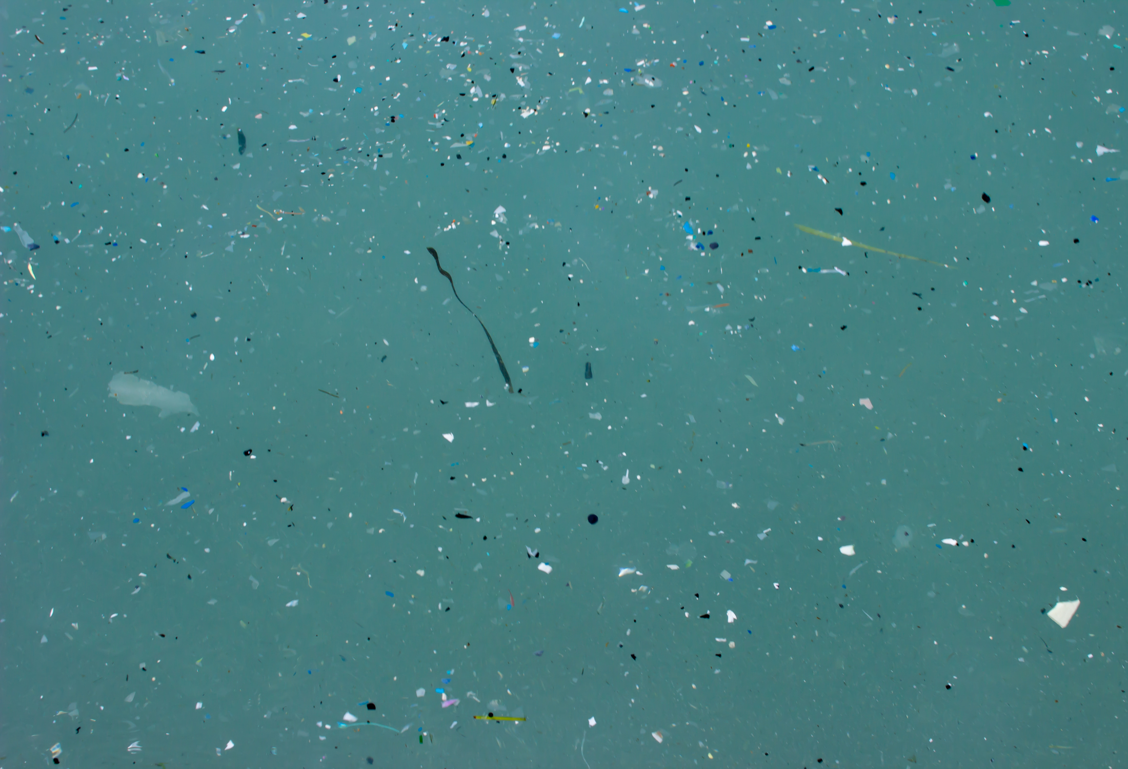 Tiny Pollutants, Big Problems: The Impact of Microplastics on Water Quality