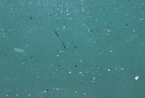 Tiny Pollutants, Big Problems: The Impact of Microplastics on Water Quality